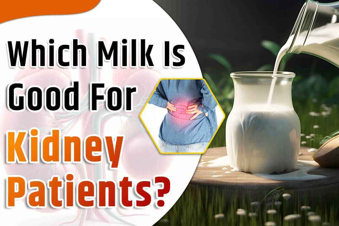 Which Milk Is Good For Kidney Patients? KarmaAyurvedaUSA