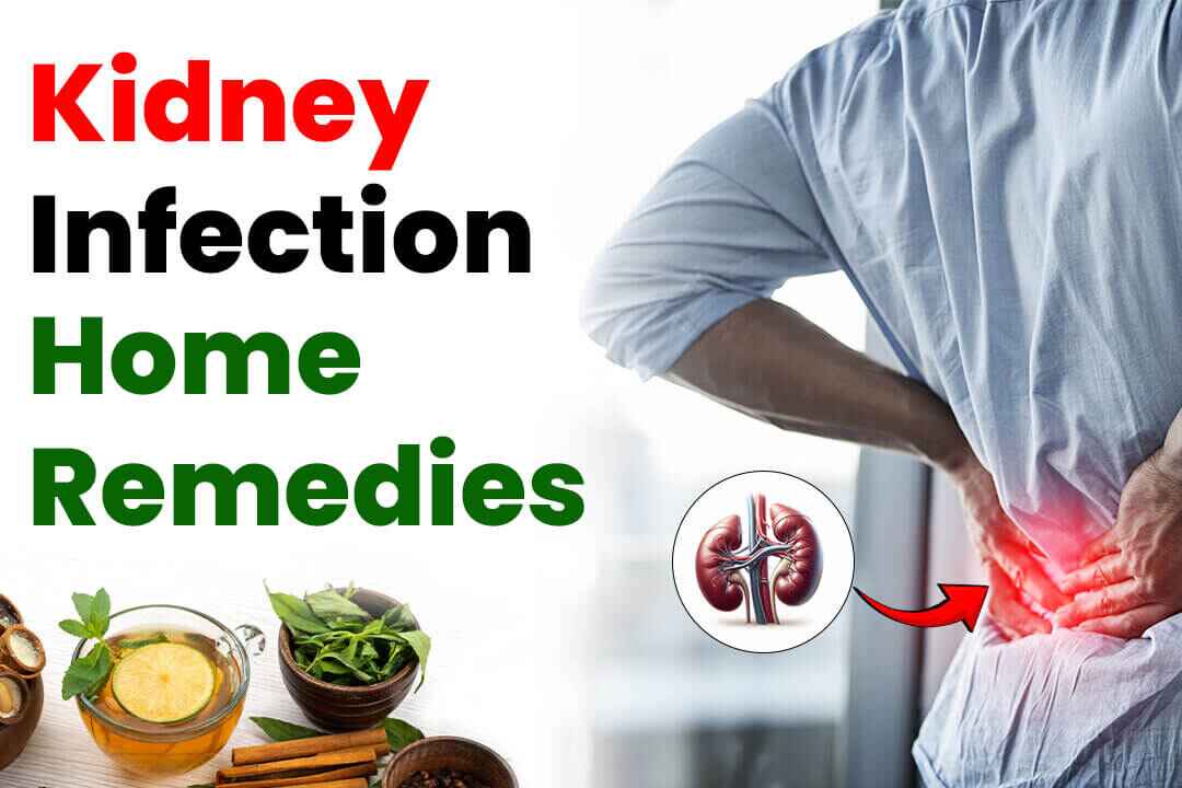 Best Kidney Infection Home Remedies - KarmaAyurvedaUSA
