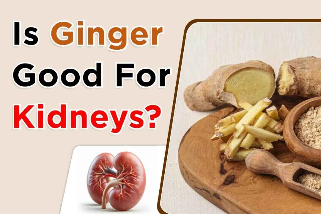 Is Ginger Good For Kidneys Patients? Karma Ayurveda USA