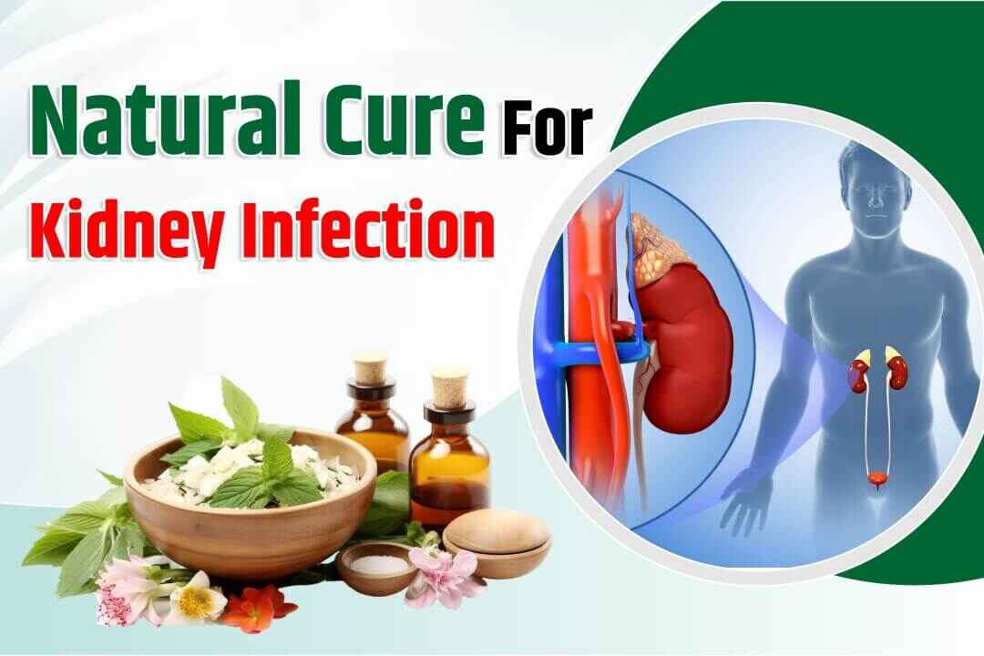 Natural Cure for Kidney Infection | Best Cure for Kidney Infection